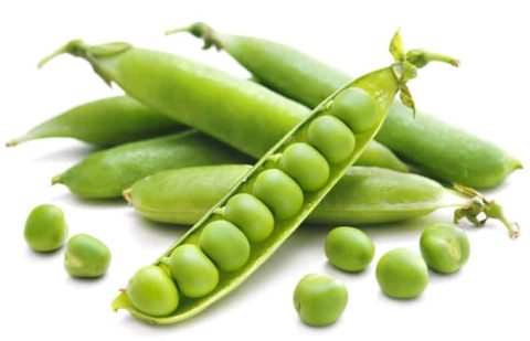 Green pea processing line | Unimatik Kft